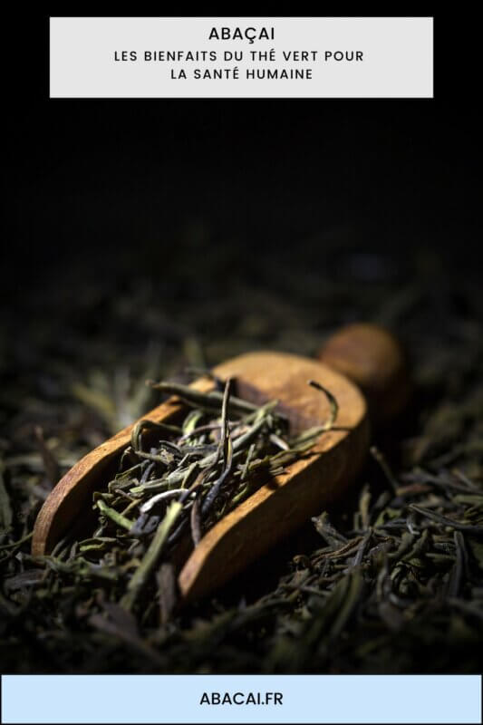 Les bienfaits du thé vert pour la santé 2025 - Abaçai